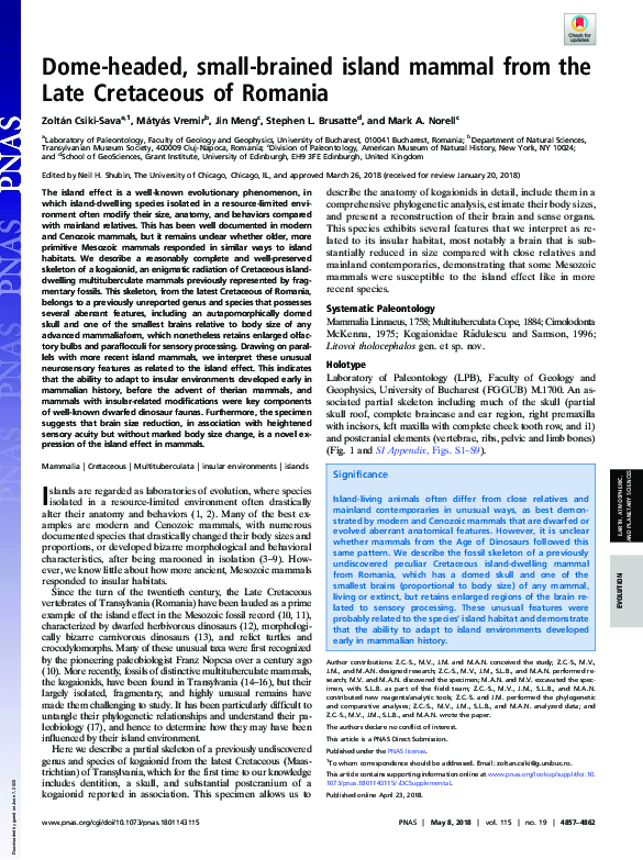 (PDF) Dome-headed, small-brained island mammal from the Late Cretaceous ...