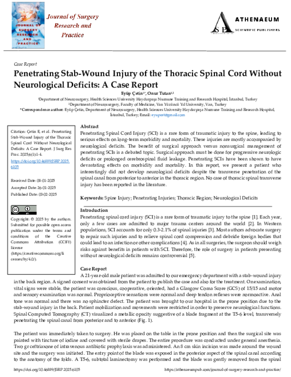 (PDF) Penetrating Stab-Wound Injury of the Thoracic Spinal Cord Without ...