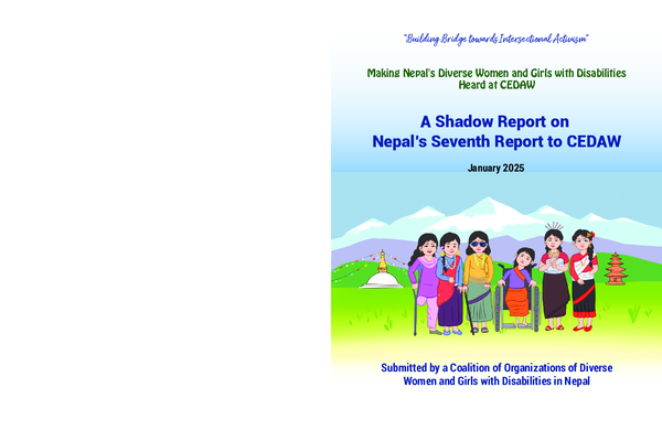 (PDF) A Shadow Report to Nepal's Seventh Report on CEDAW Final