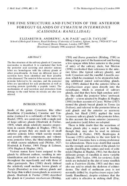 (PDF) The Fine Structure and Function of the Anterior Foregut Glands of Cymatium Intermedius ...