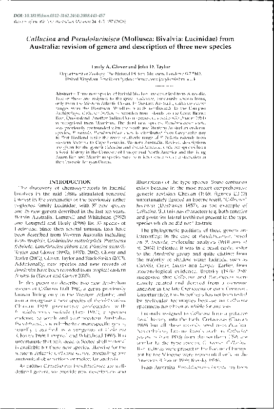 (PDF) Callucina and Pseudolucinisca (Mollusca: Bivalvia: Lucinidae ...