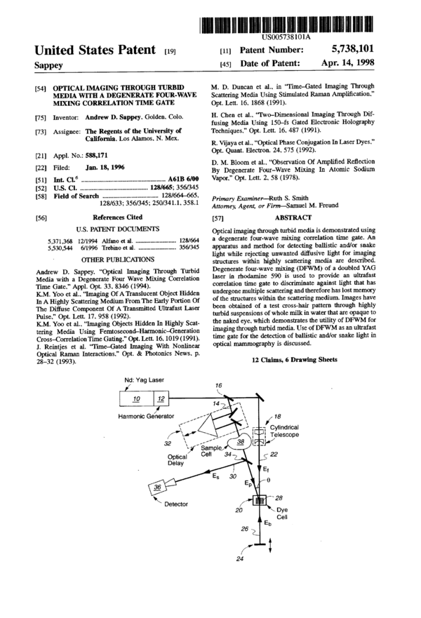 (PDF) Optical imaging through turbid media with a degenerate four-wave mixing correlation time gate