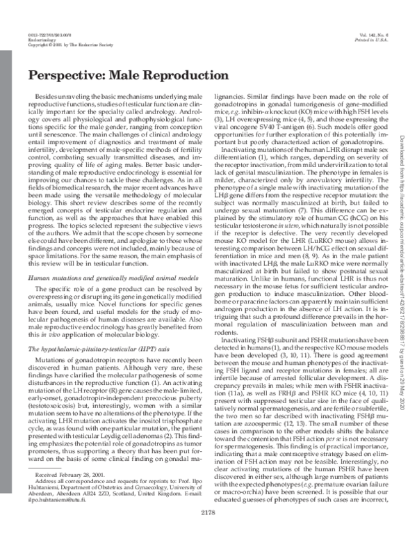 (PDF) Perspective: Male Reproduction