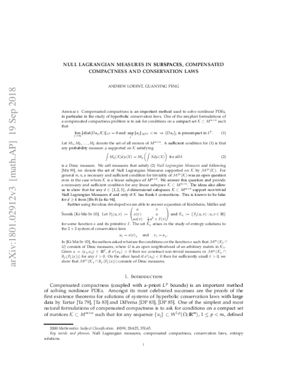 (PDF) Null Lagrangian Measures in Subspaces, Compensated Compactness and Conservation Laws