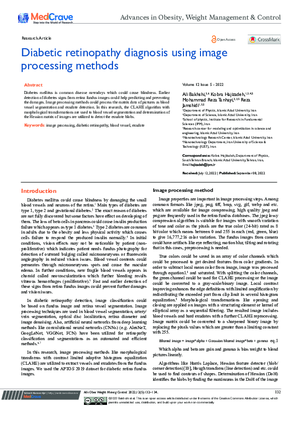 (PDF) Diabetic retinopathy diagnosis using image processing methods