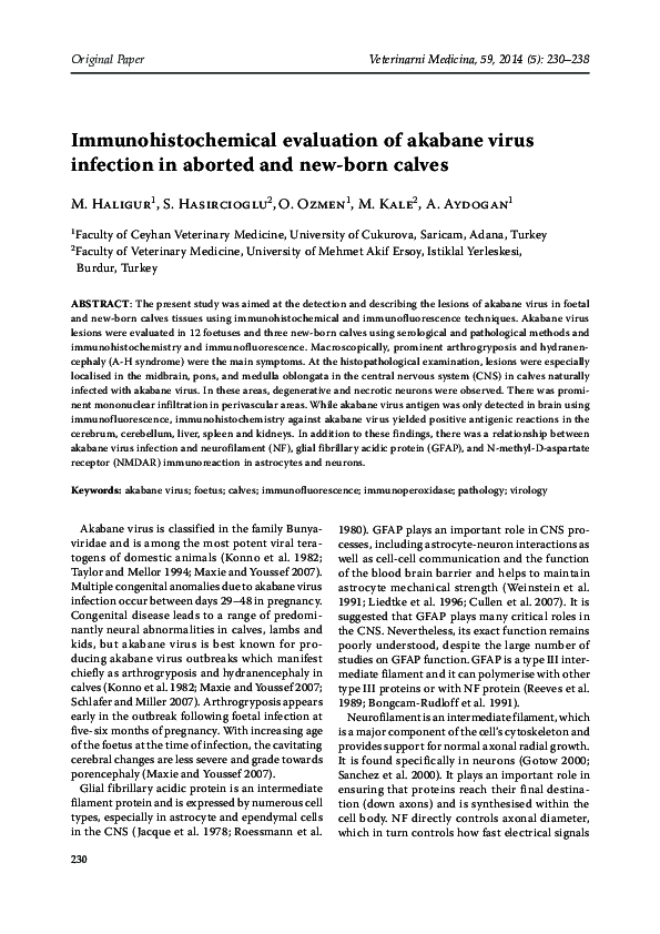 (PDF) Immunohistochemical evaluation of akabane virus infection in ...