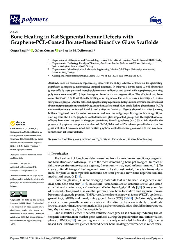 Pdf Bone Healing In Rat Segmental Femur Defects With Graphene Pcl Coated Borate Based