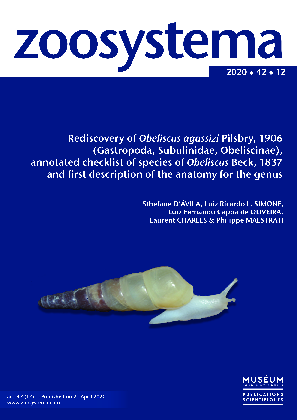 (PDF) Rediscovery of Obeliscus agassizi Pilsbry, 1906 (Gastropoda ...
