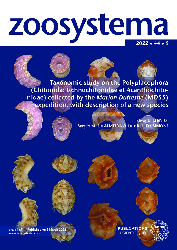 (PDF) Taxonomic study on the Polyplacophora (Chitonida: Ischnochitonidae et Acanthochitonidae ...