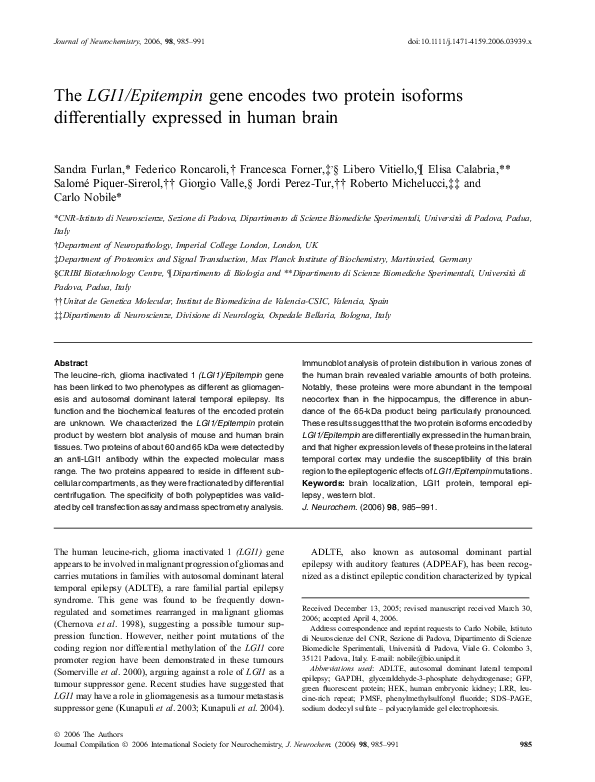 (PDF) The LGI1/Epitempin gene encodes two protein isoforms differentially expressed in human brain