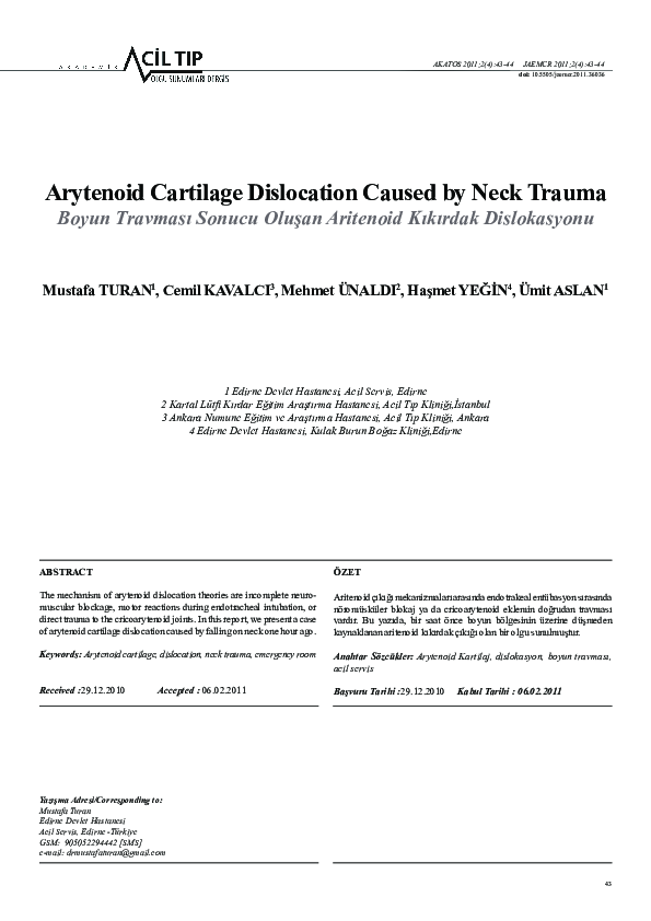 (PDF) Arytenoid Cartilage Dislocation Caused by Neck Trauma