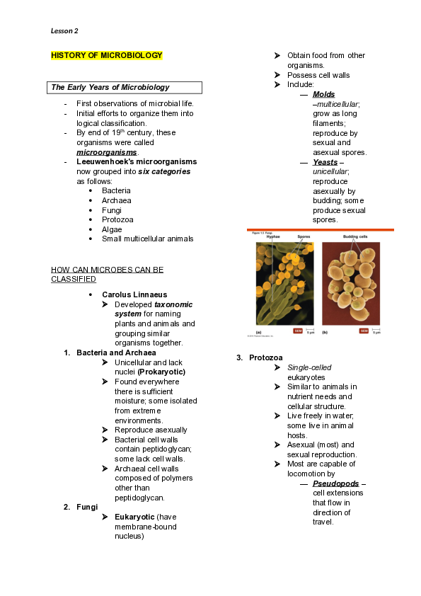 (PDF) HISTORY OF MICROBIOLOGY