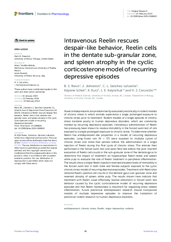 (PDF) Intravenous Reelin rescues despair-like behavior, Reelin cells in ...