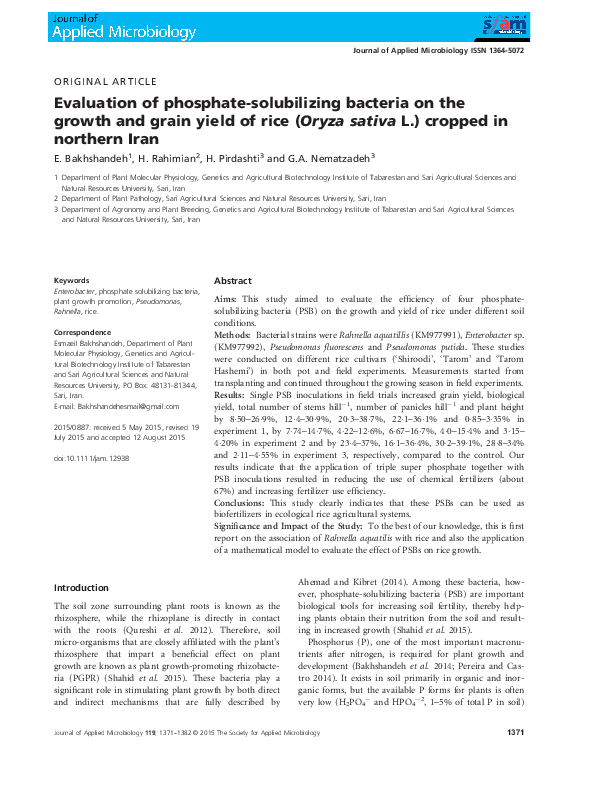 (PDF) Evaluation of phosphate-solubilizing bacteria on the growth and grain yield of rice (Oryza ...