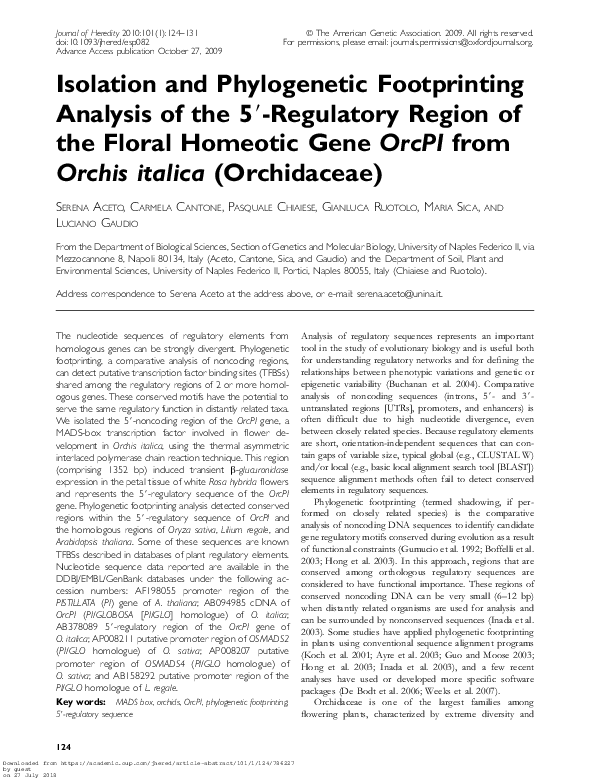 (PDF) Isolation and Phylogenetic Footprinting Analysis of the 5 ...