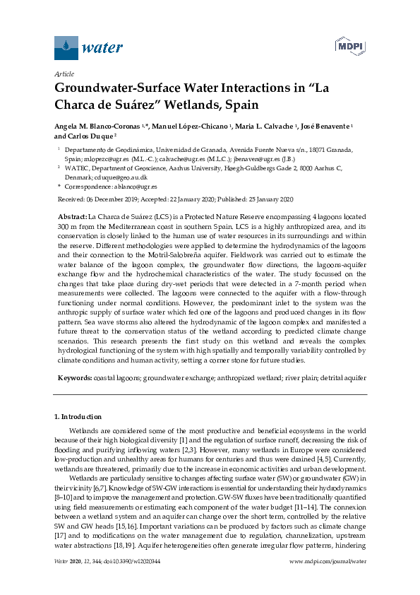 (PDF) Groundwater-Surface Water Interactions in “La Charca de Suárez” Wetlands, Spain