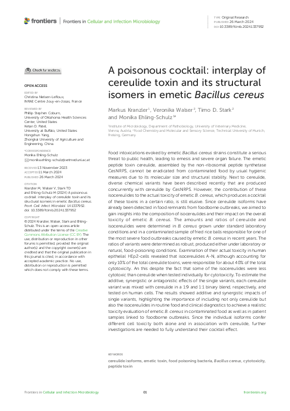 (PDF) A poisonous cocktail: interplay of cereulide toxin and its ...