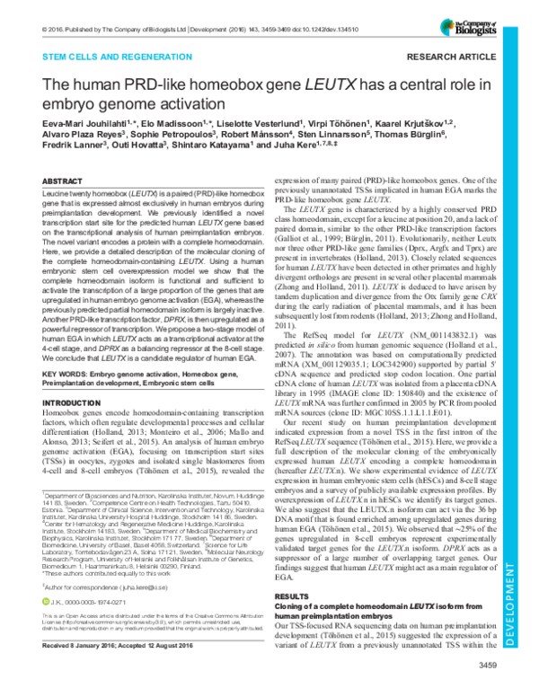 (PDF) The human PRD-like homeobox gene LEUTX has a central role in ...