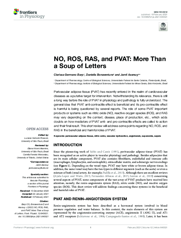 (PDF) NO, ROS, RAS, and PVAT: More Than a Soup of Letters