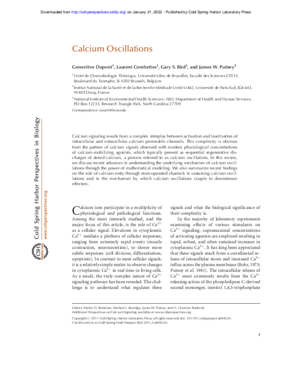 (PDF) Calcium Oscillations