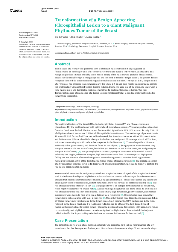 (PDF) Transformation of a Benign-Appearing Fibroepithelial Lesion to a ...