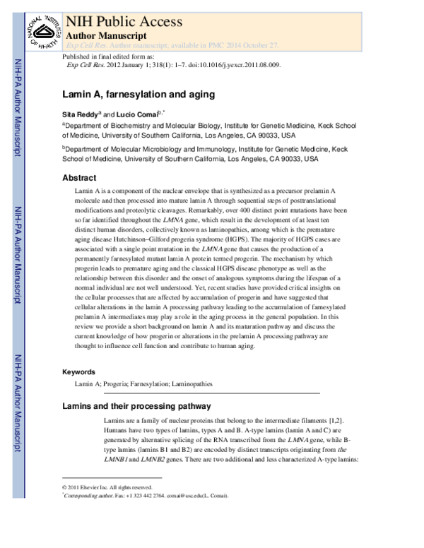 (PDF) Lamin A, farnesylation and aging