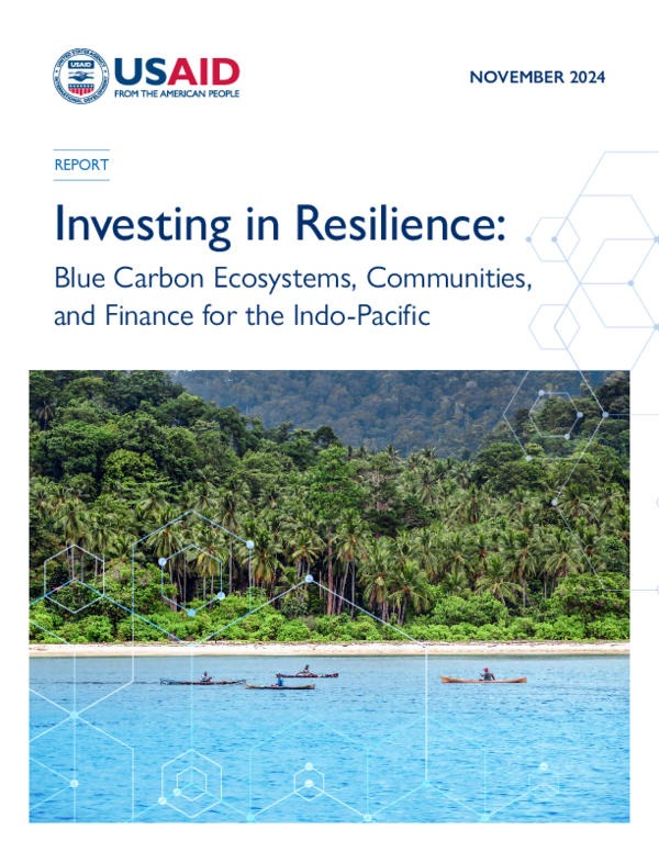 (PDF) Investing in Resilience: Blue Carbon Ecosystems, Communities, and ...