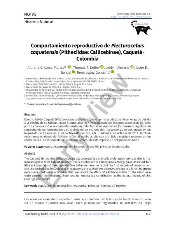 (PDF) Comportamiento reproductivo de Plecturocebus caquetensis ...
