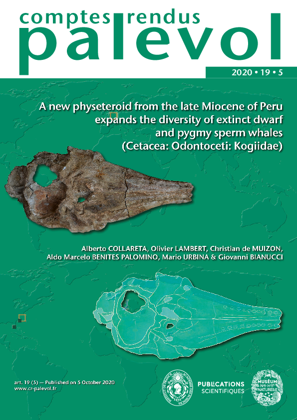 (PDF) A new physeteroid from the late Miocene of Peru expands the ...
