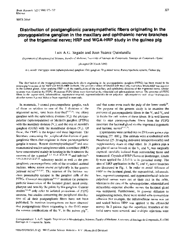(PDF) Distribution of postganglionic parasympathetic fibers originating ...