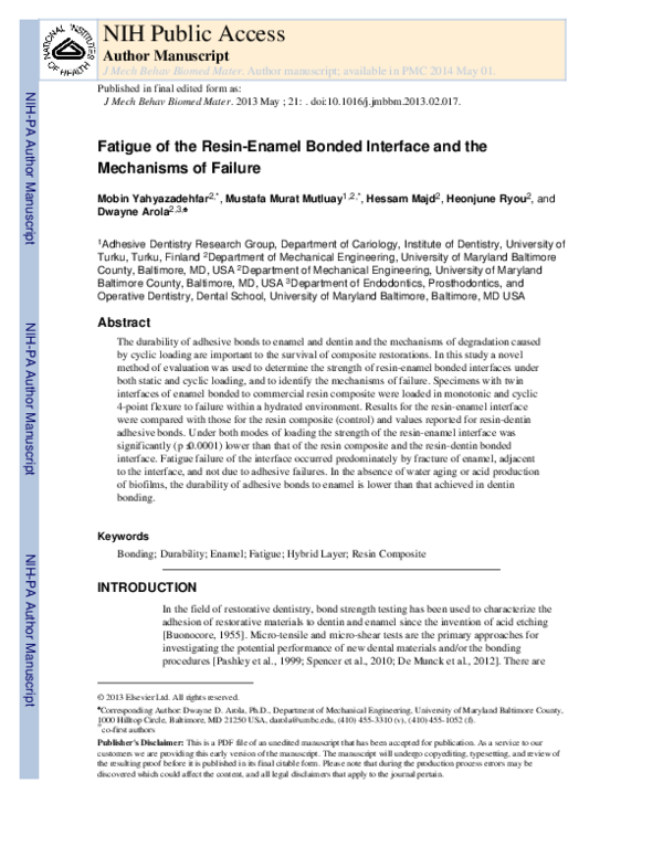 (PDF) Fatigue of the resin–enamel bonded interface and the mechanisms ...