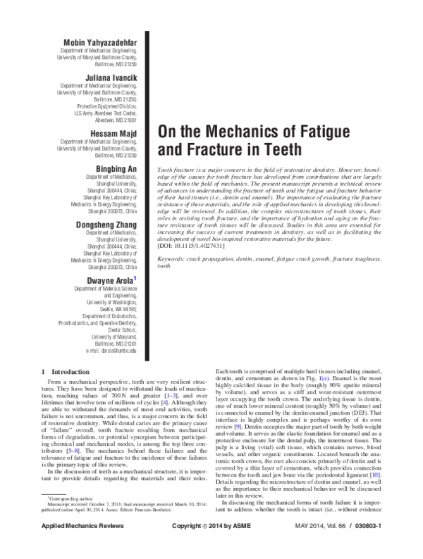 (PDF) On the Mechanics of Fatigue and Fracture in Teeth