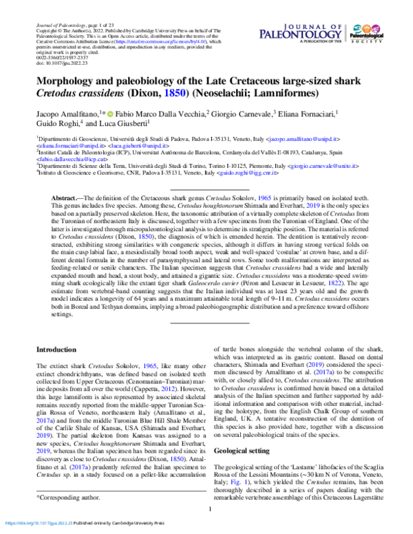 (PDF) Morphology and paleobiology of the Late Cretaceous large-sized ...