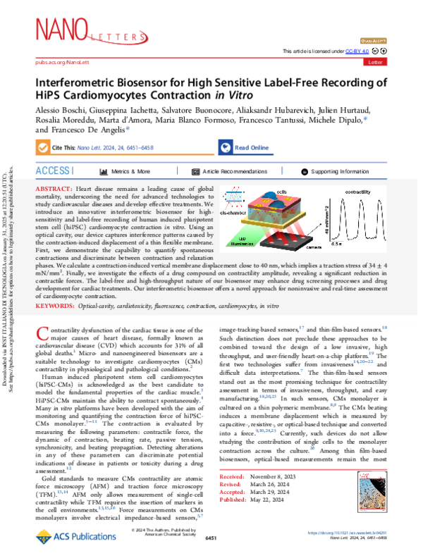 (PDF) Interferometric Biosensor for High Sensitive Label-Free Recording ...