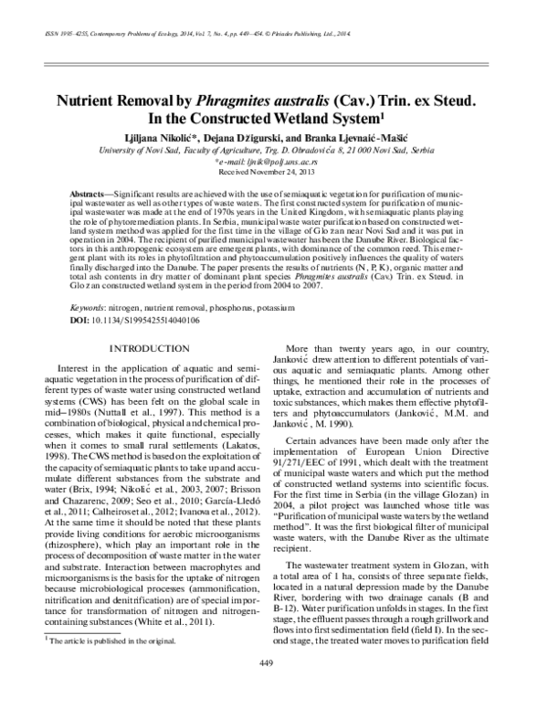 (PDF) Nutrient removal by Phragmites australis (Cav.) Trin. ex Steud ...