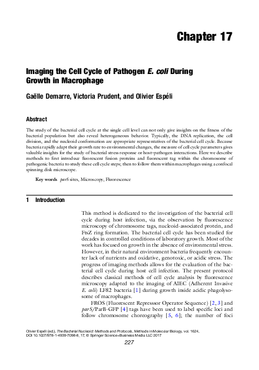 (PDF) Imaging the Cell Cycle of Pathogen E. coli During Growth in ...