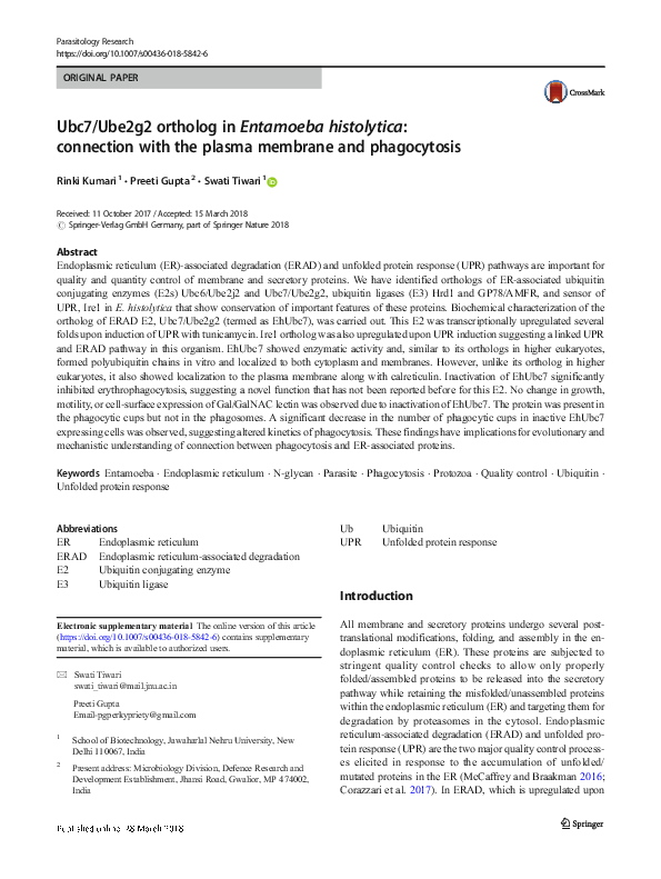 (PDF) Ubc7/Ube2g2 ortholog in Entamoeba histolytica: connection with ...