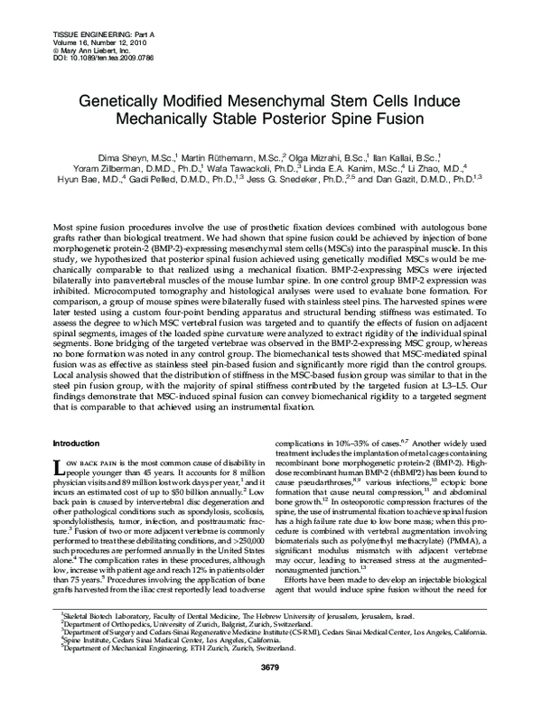 (PDF) Genetically Modified Mesenchymal Stem Cells Induce Mechanically Stable Posterior Spine Fusion
