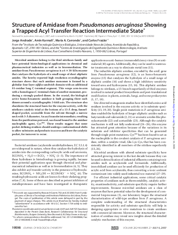 (PDF) Structure of Amidase from Pseudomonas aeruginosa Showing a ...