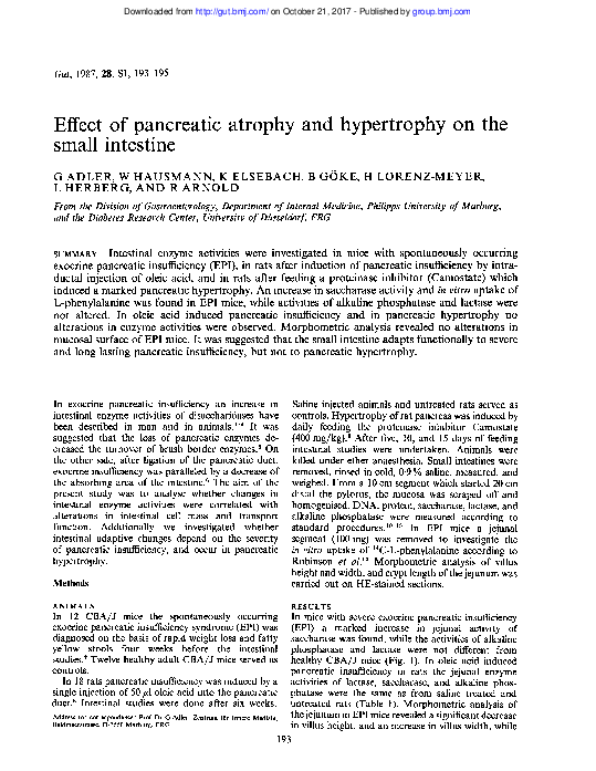 (PDF) Effect of pancreatic atrophy and hypertrophy on the small intestine