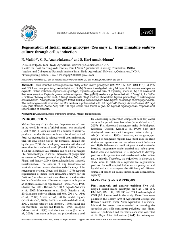 (PDF) Regeneration of Indian maize genotypes (Zea mays L.) from immature embryo culture through ...