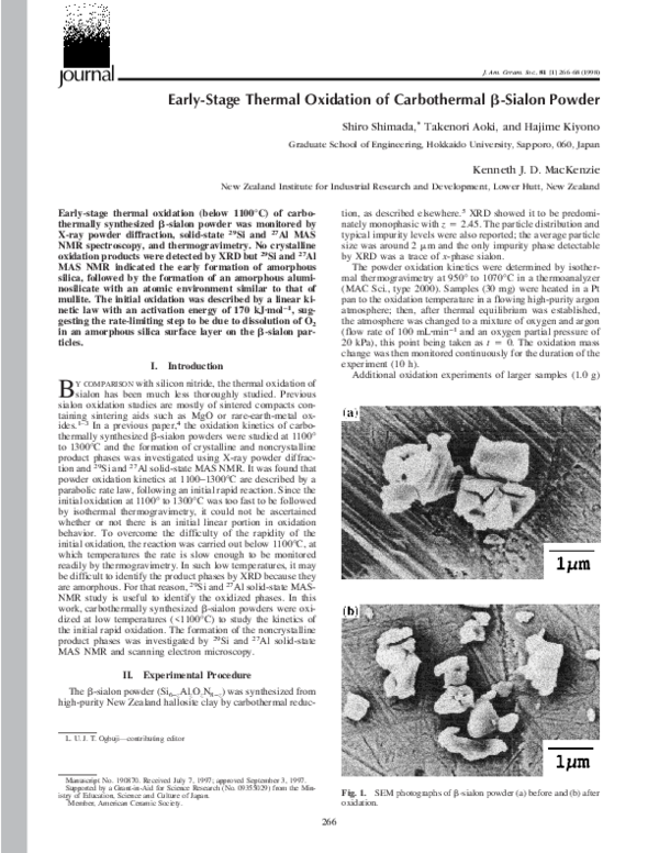 (PDF) Early-Stage Thermal Oxidation of Carbothermal β-Sialon Powder