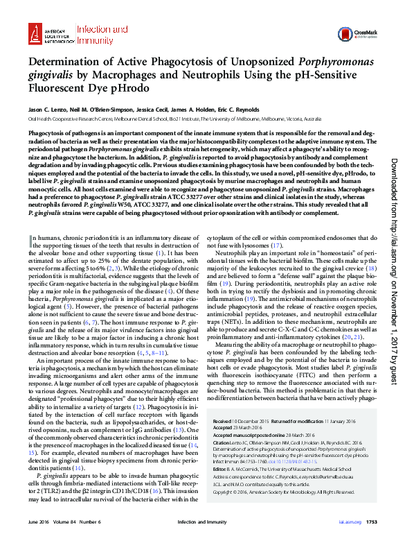 (PDF) Determination of active phagocytosis of unopsonised Porphyromonas ...