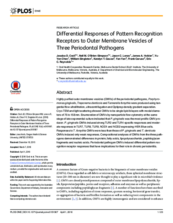 (PDF) Differential Responses of Pattern Recognition Receptors to Outer ...
