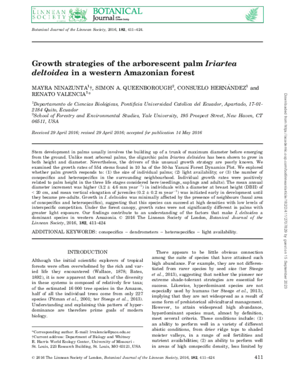 (PDF) Growth strategies of the arborescent palmIriartea deltoideain a ...