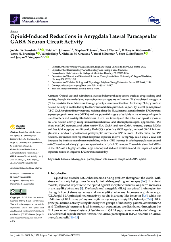 (PDF) Opioid-Induced Reductions in Amygdala Lateral Paracapsular GABA ...