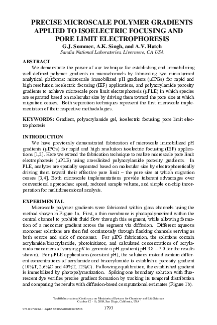 (PDF) Precise Microscale Polymer Gradients Applied to Isoelectric
