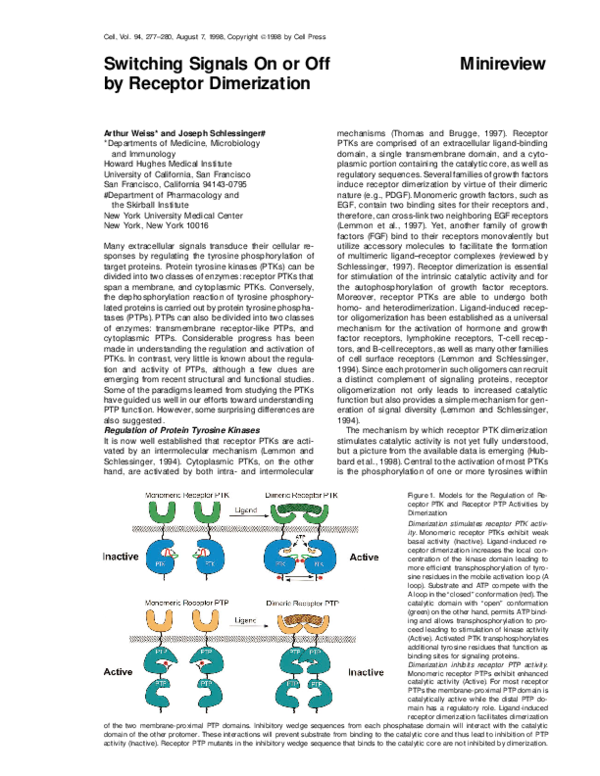 (PDF) Switching Signals On or Off by Receptor Dimerization