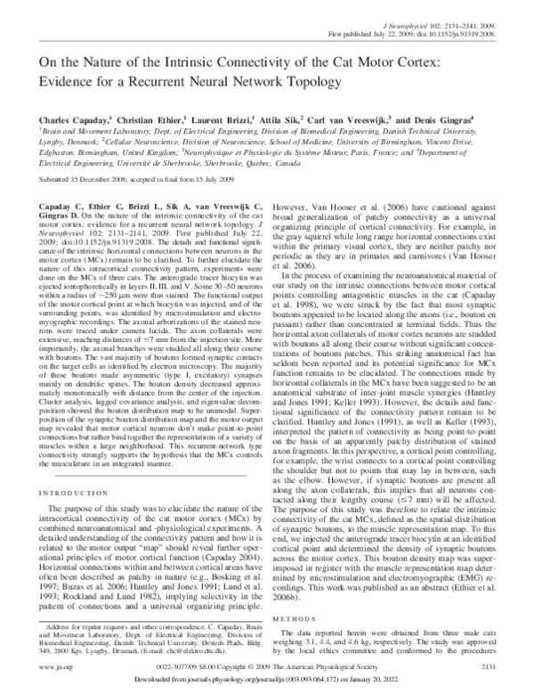 (PDF) On the Nature of the Intrinsic Connectivity of the Cat Motor Cortex: Evidence for a ...