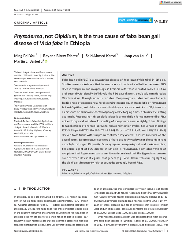 (PDF) Physoderma, not Olpidium, is the true cause of faba bean gall ...